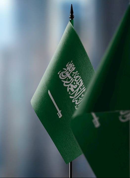 Saudi Vision | Aljomaih Energy & Water Company